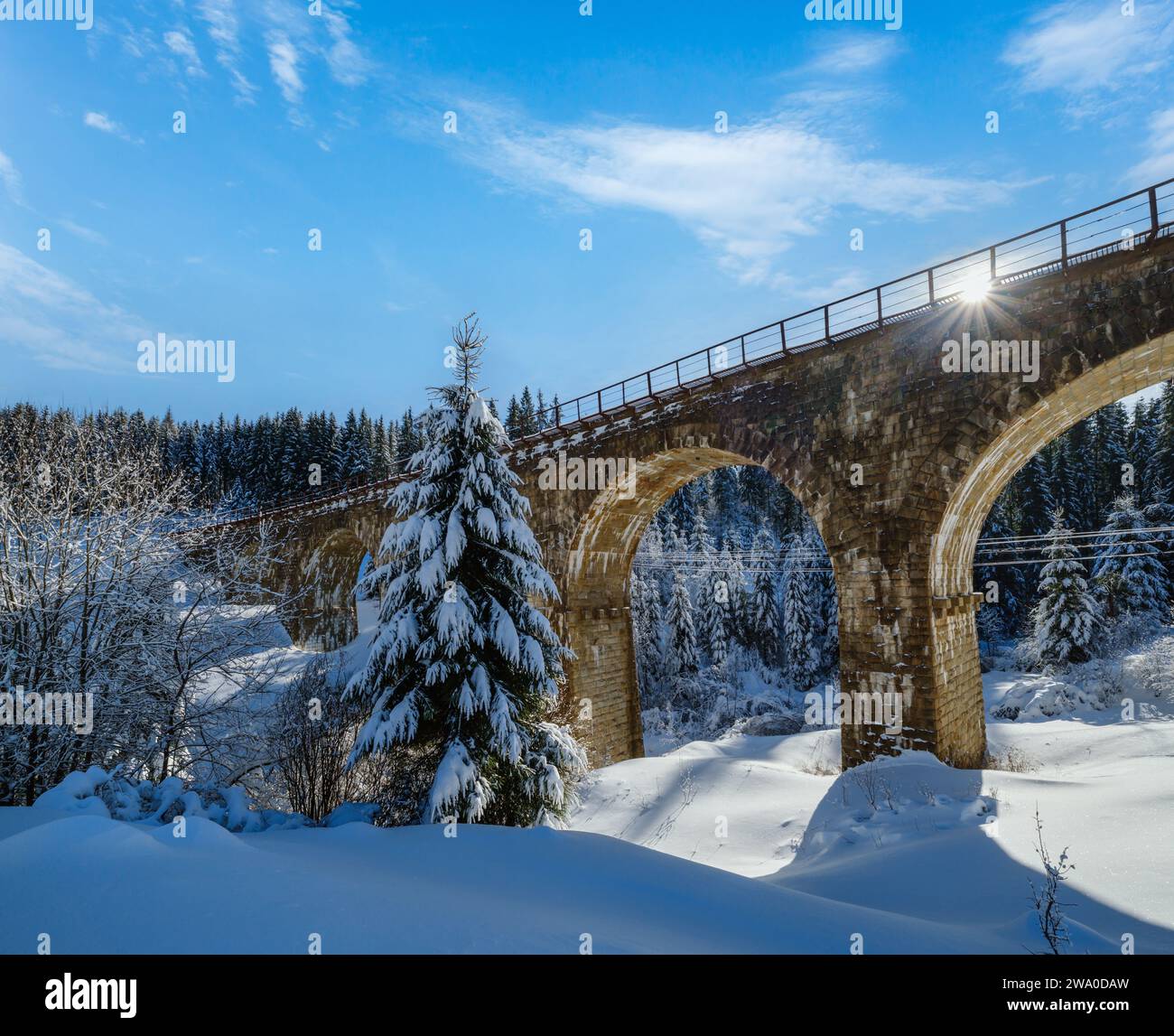 Stone viaduct (arch bridge) on railway through mountain snowy fir ...