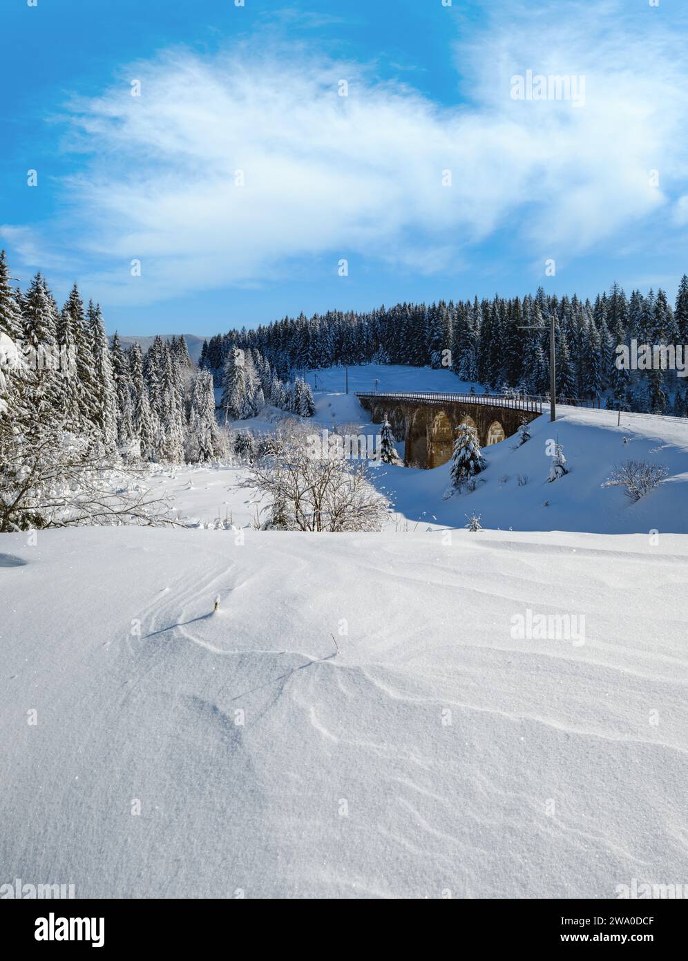 Stone viaduct (arch bridge) on railway through mountain snowy fir ...