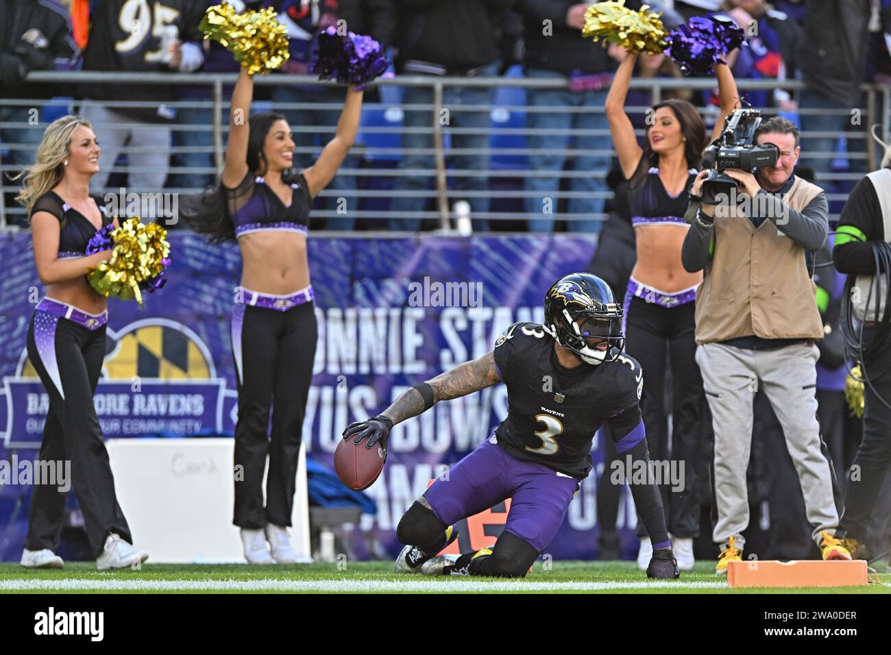 David long jr dolphins hi-res stock photography and images - Alamy