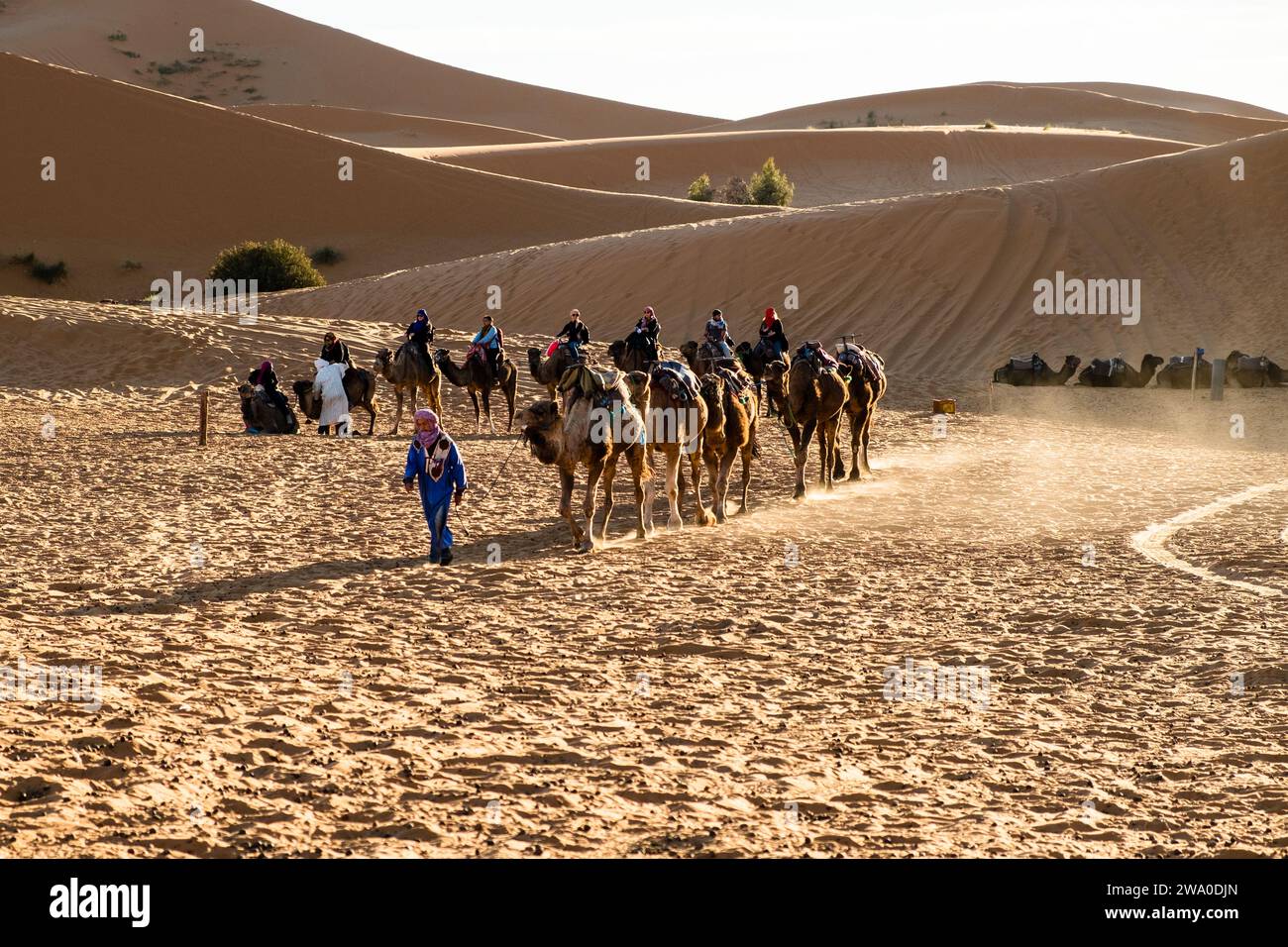 Berber tour guides lead camels and tourists to their destination in the ...
