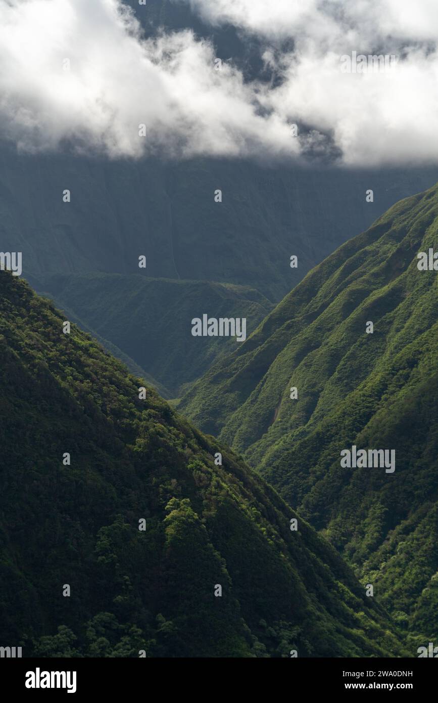 Verdant vistas along Waihe'e Ridge Trail, inviting Maui hikers to ...