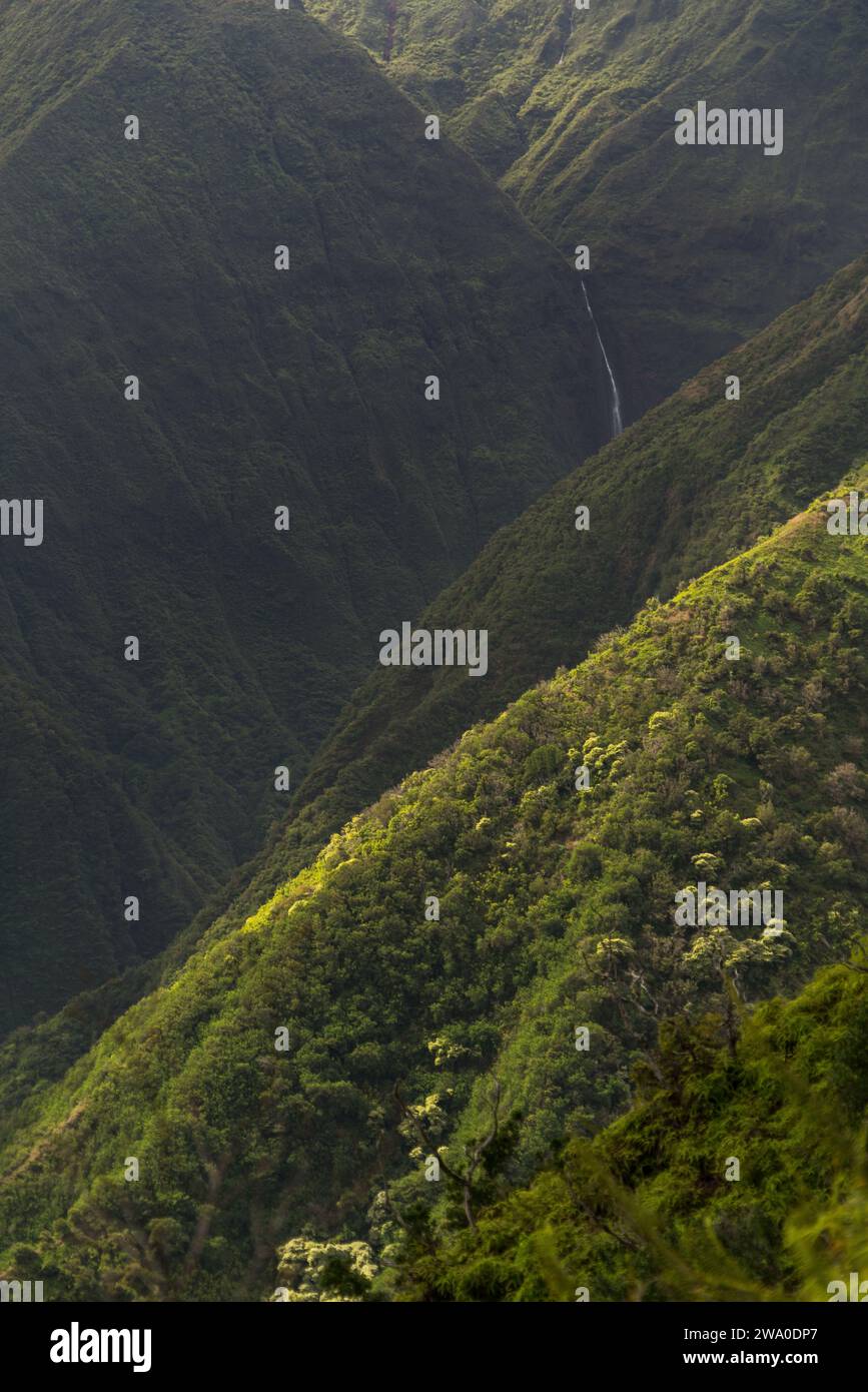 Hidden waterfall in the lush folds of Maui's Waihe'e Ridge Trail Stock ...