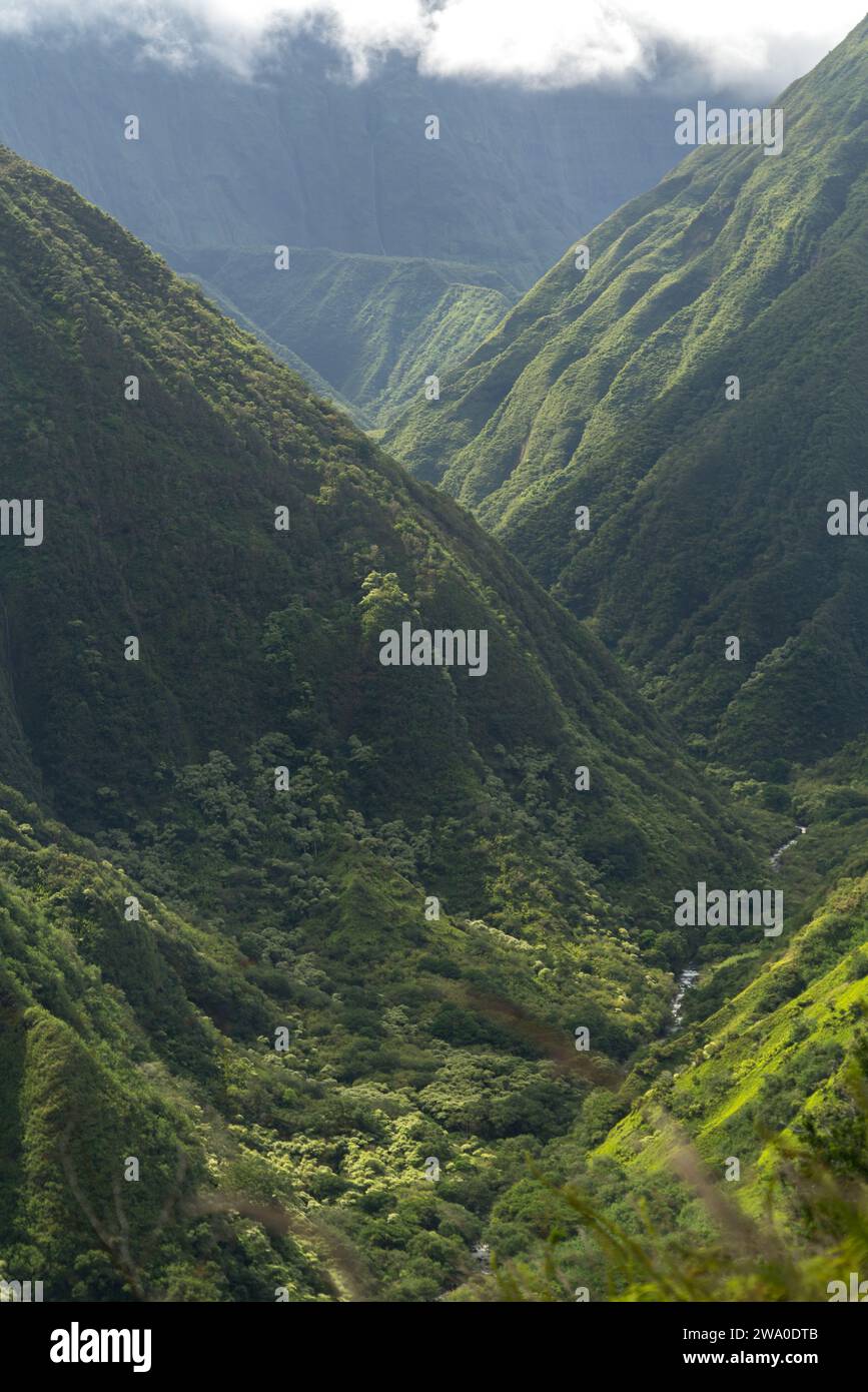 Verdant vistas along Waihe'e Ridge Trail, inviting Maui hikers to ...