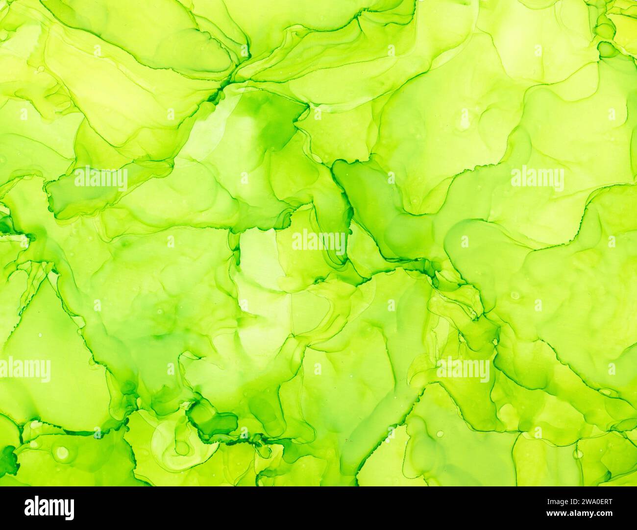 Abstract green alcohol ink liquid luxury contemporary background. Green ...