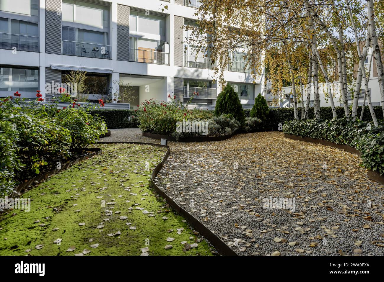 Adaptation to urban areas hi-res stock photography and images - Alamy