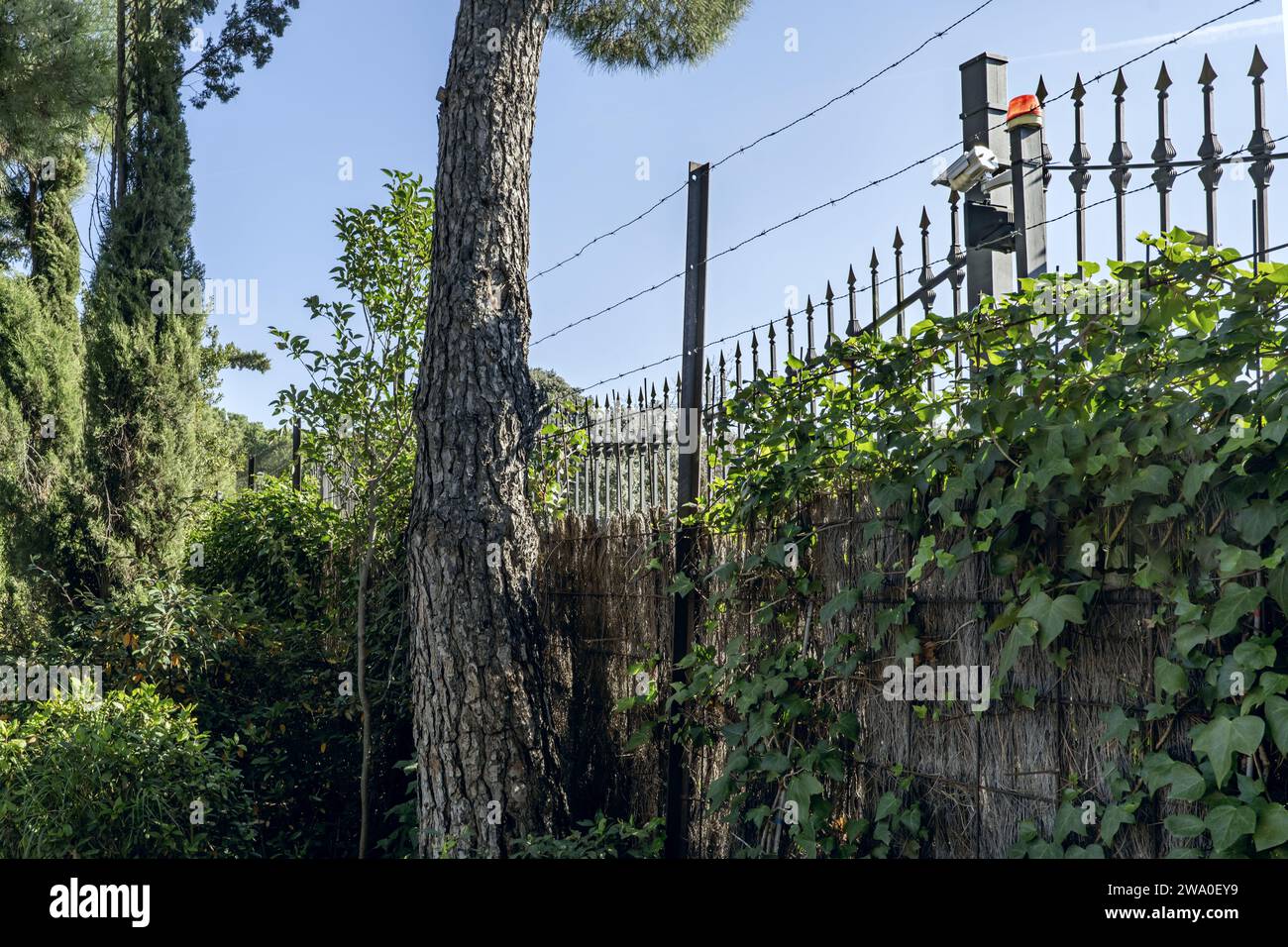 A double security fence with surveillance cameras and concertina on the ...