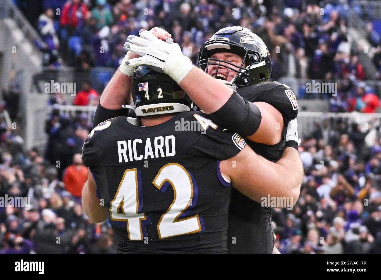 Baltimore, United States. 31st Dec, 2023. Baltimore Ravens fullback ...