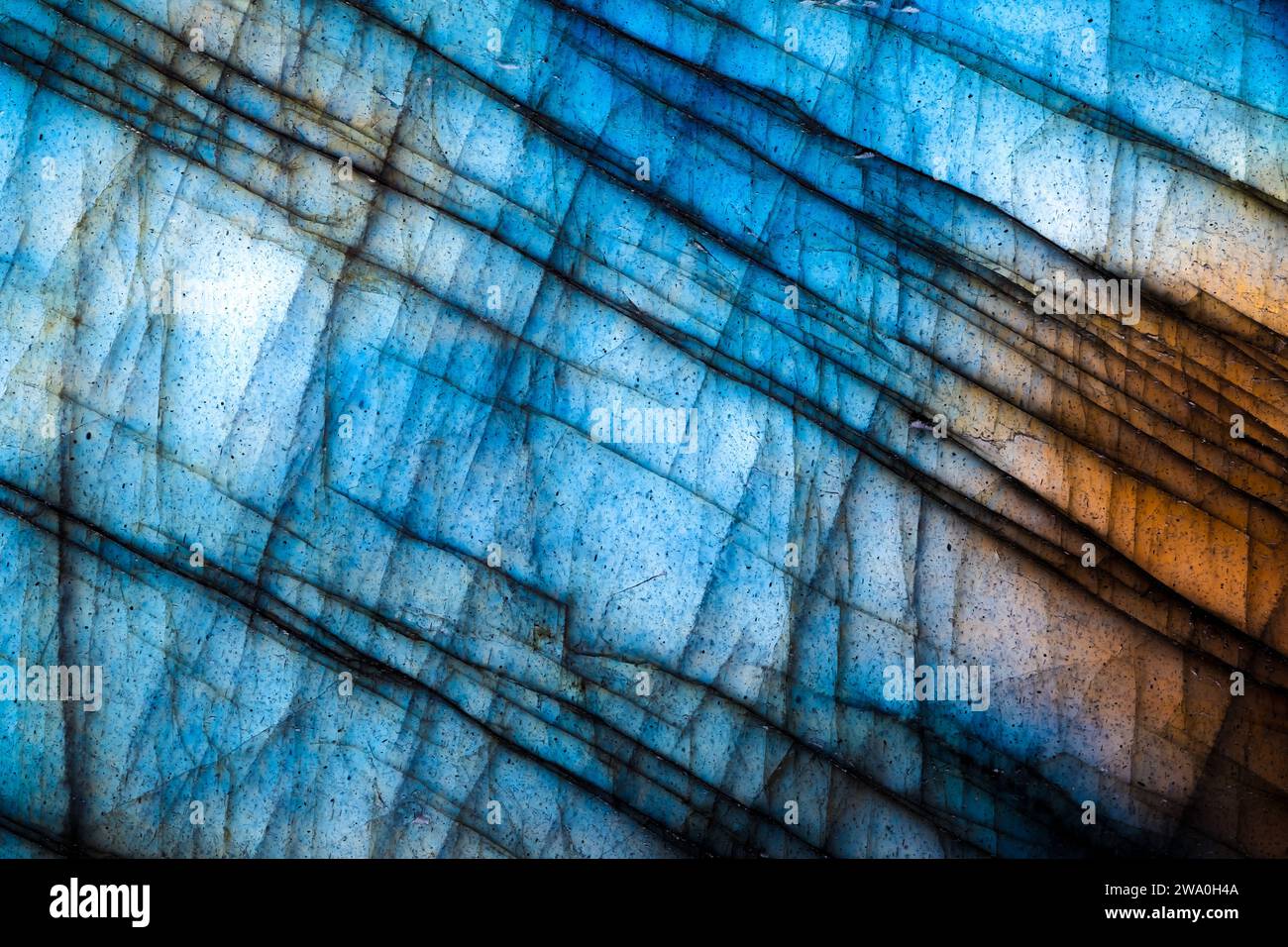 labradorite macro photography detail texture. close-up polished semi ...