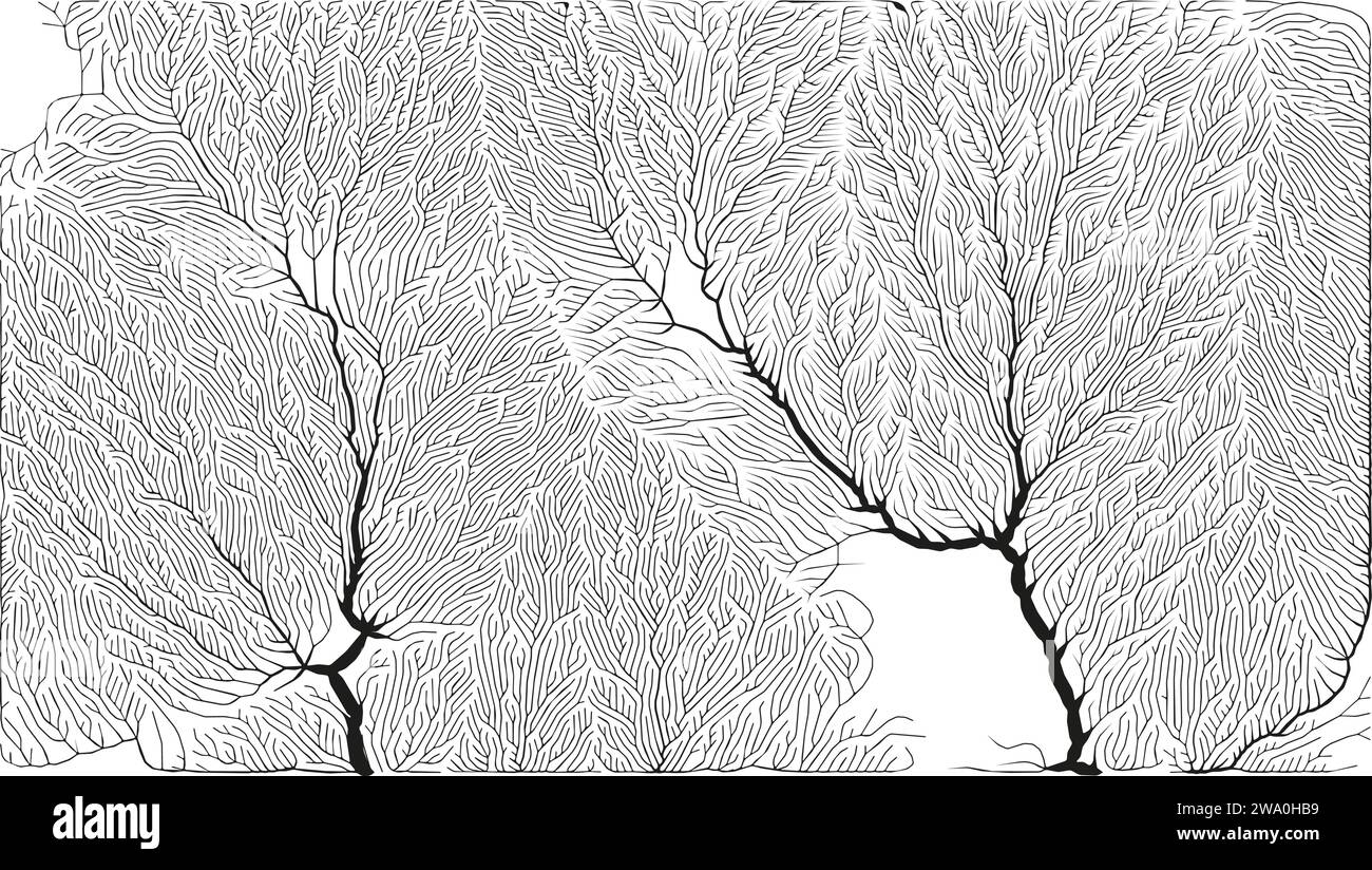 Growth pattern. Generative branching structure. Organic net of vessels ...