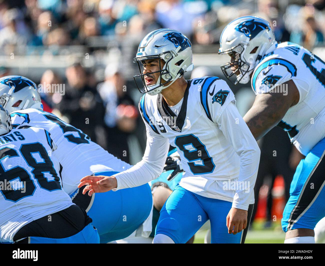 Jacksonville, FL, USA. 31st Dec, 2023. Carolina Panthers quarterback ...