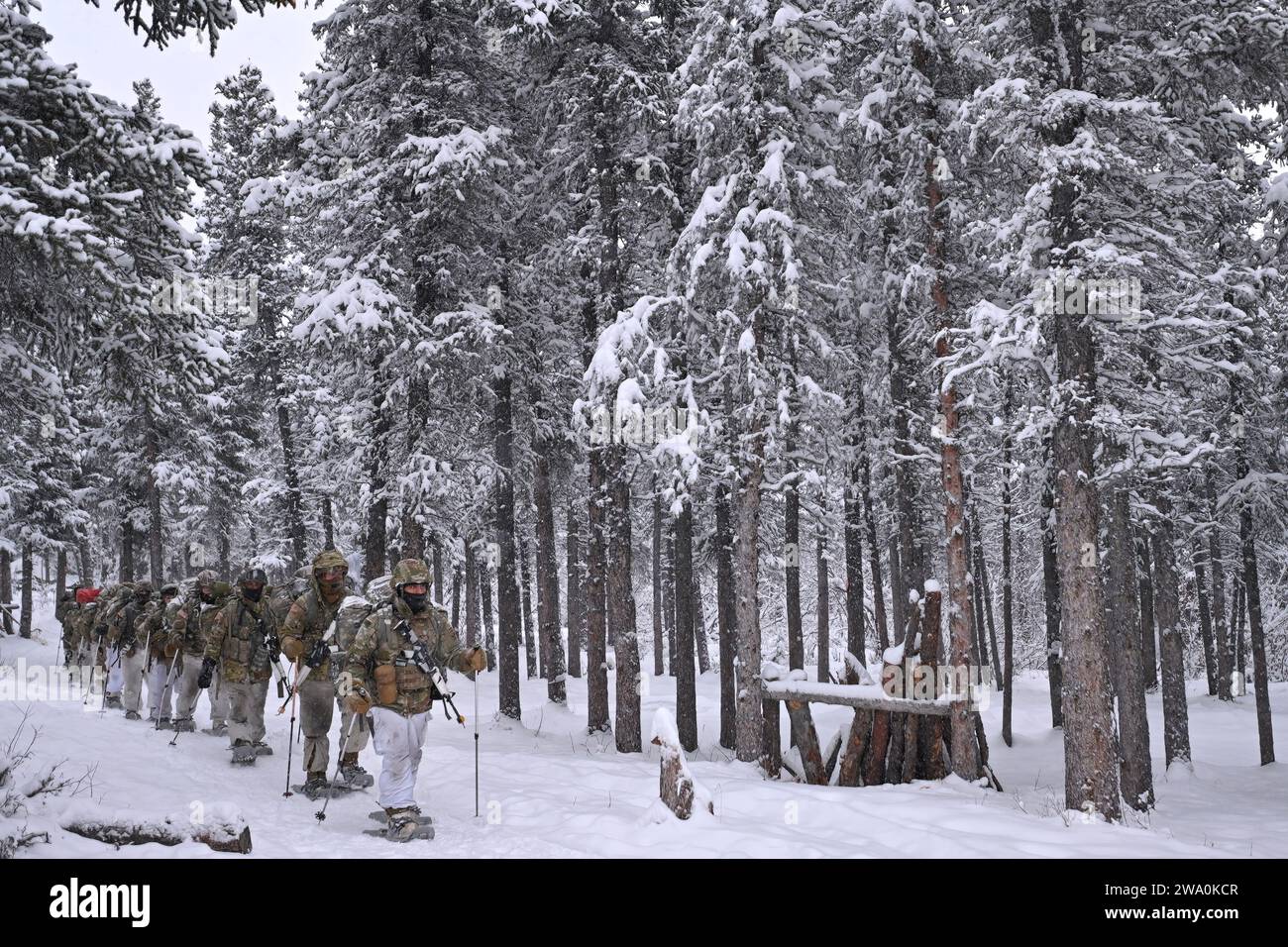 Northern warfare training center hi-res stock photography and images ...