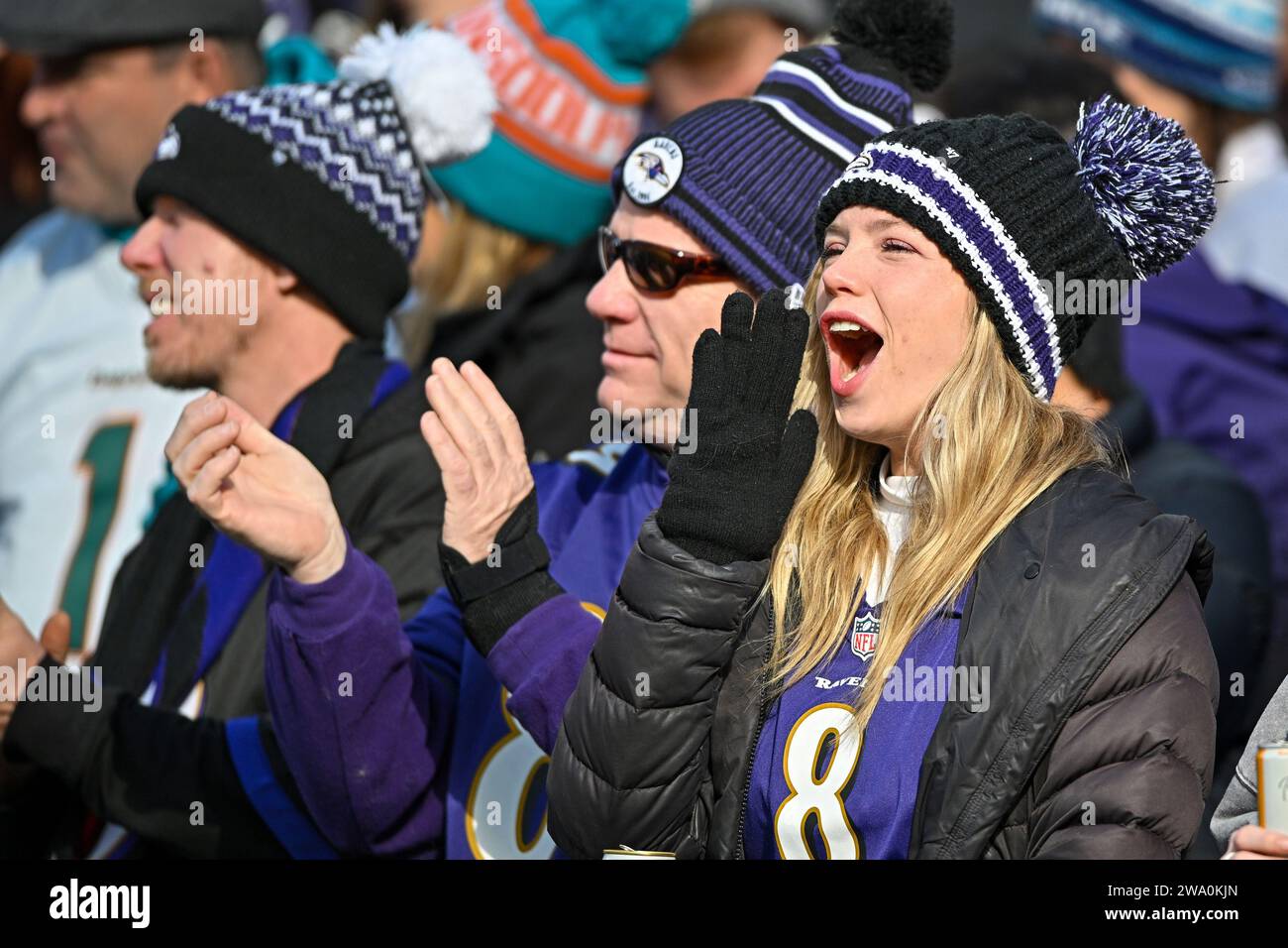 Baltimore, United States. 31st Dec, 2023. Baltimore Ravens fans cheer ...