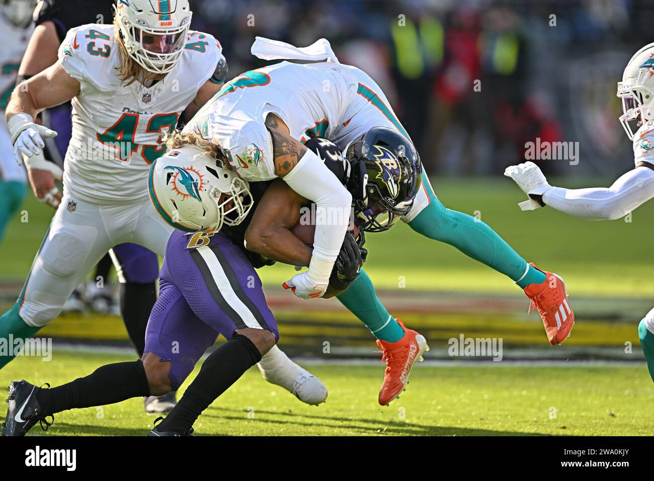 Duke riley hi-res stock photography and images - Alamy