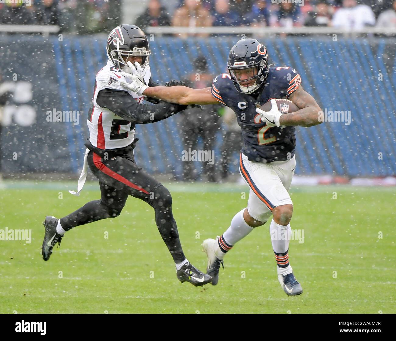 Terrell falcons hi-res stock photography and images - Alamy