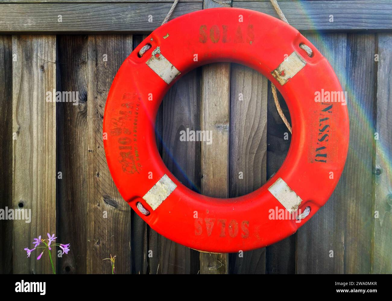Kisbee rings hi-res stock photography and images - Alamy
