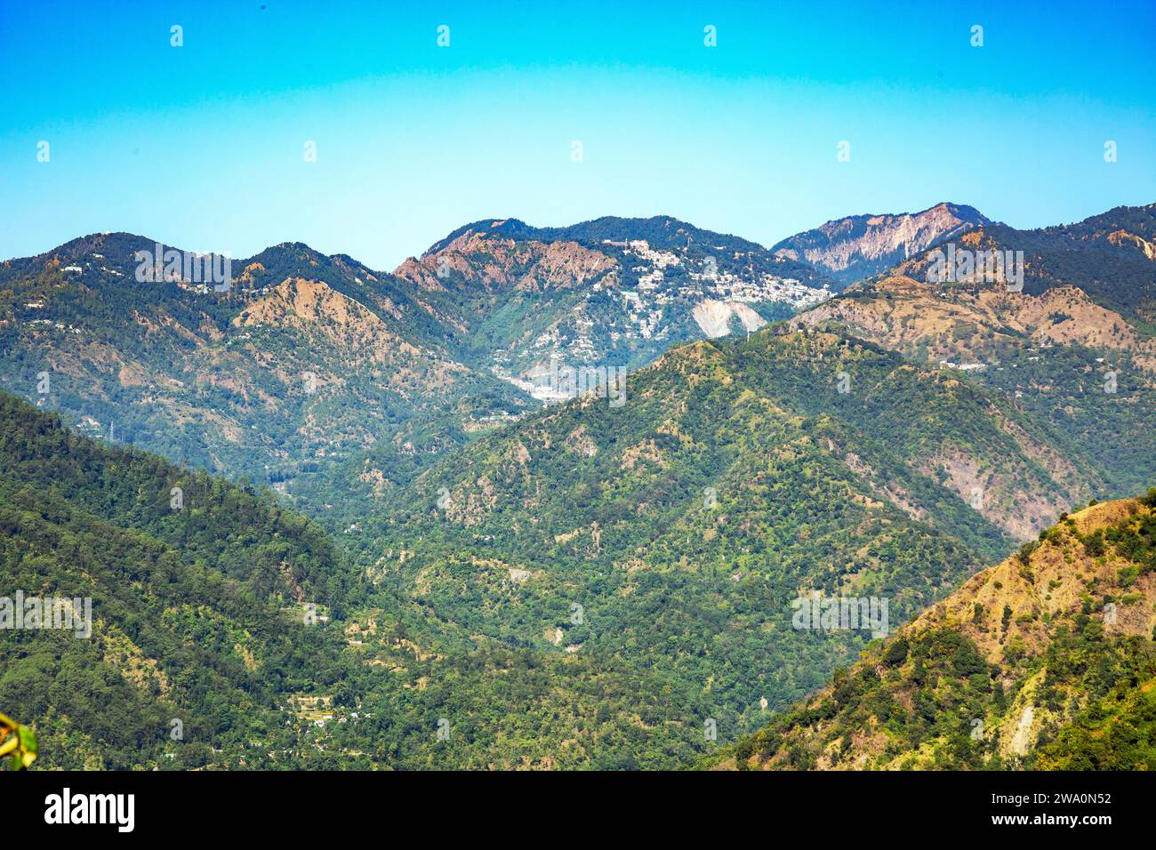 Indian greenery hi-res stock photography and images - Alamy