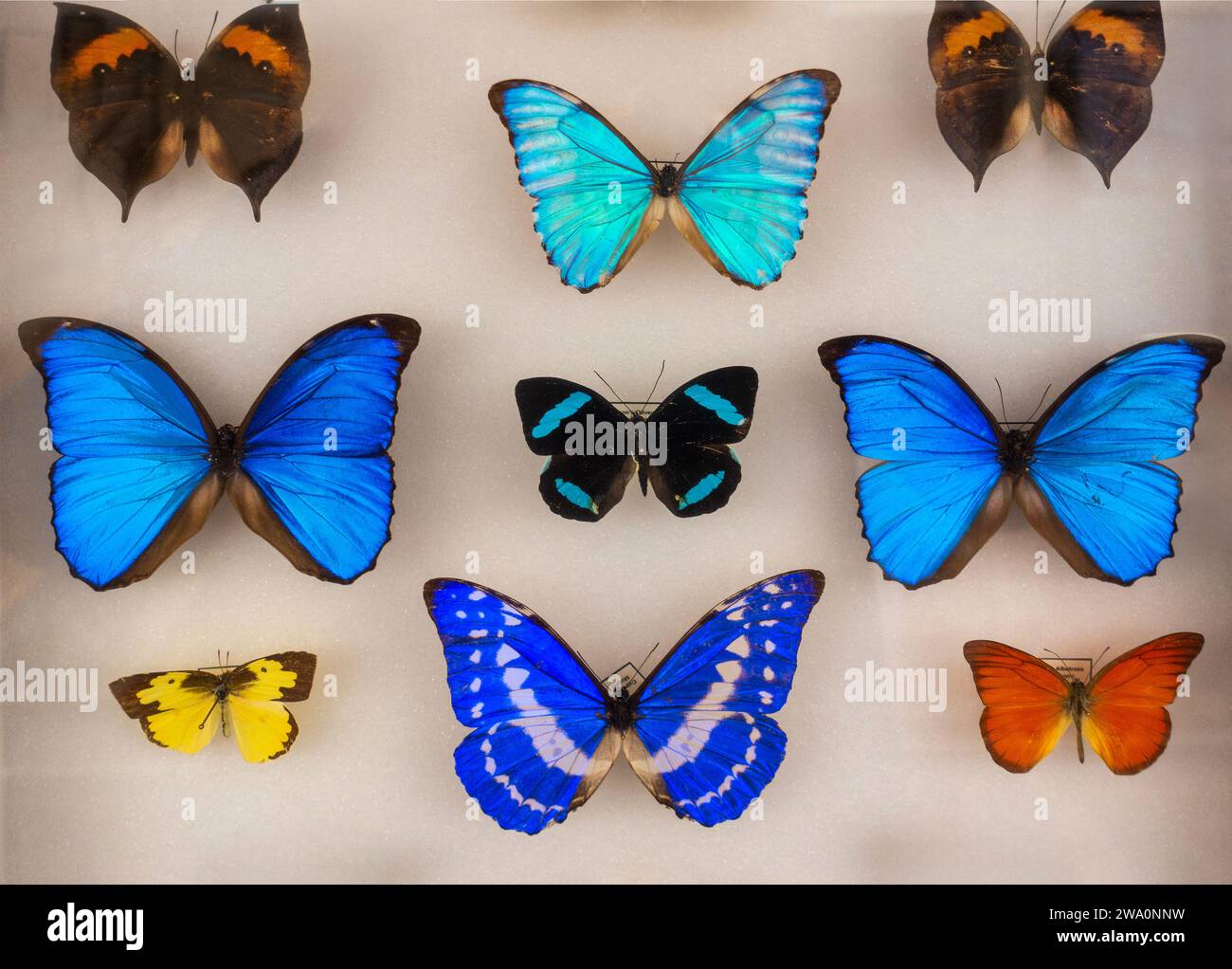 Edna Lawrence Nature lab at the Rhode Island School of Design in ...