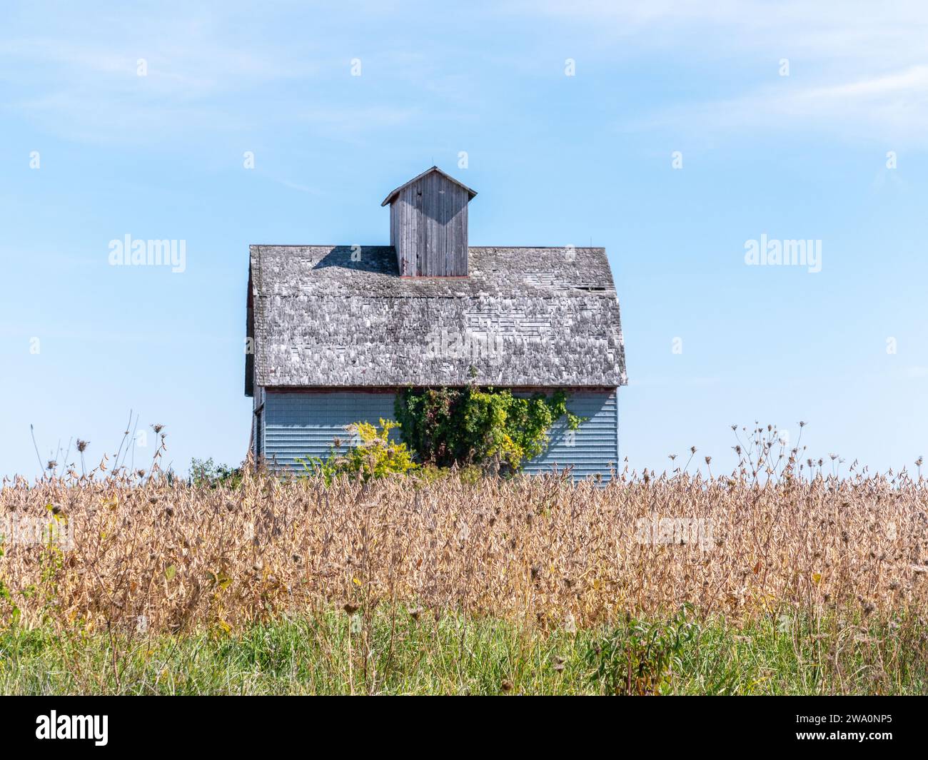 Barn in illinois hi-res stock photography and images - Alamy