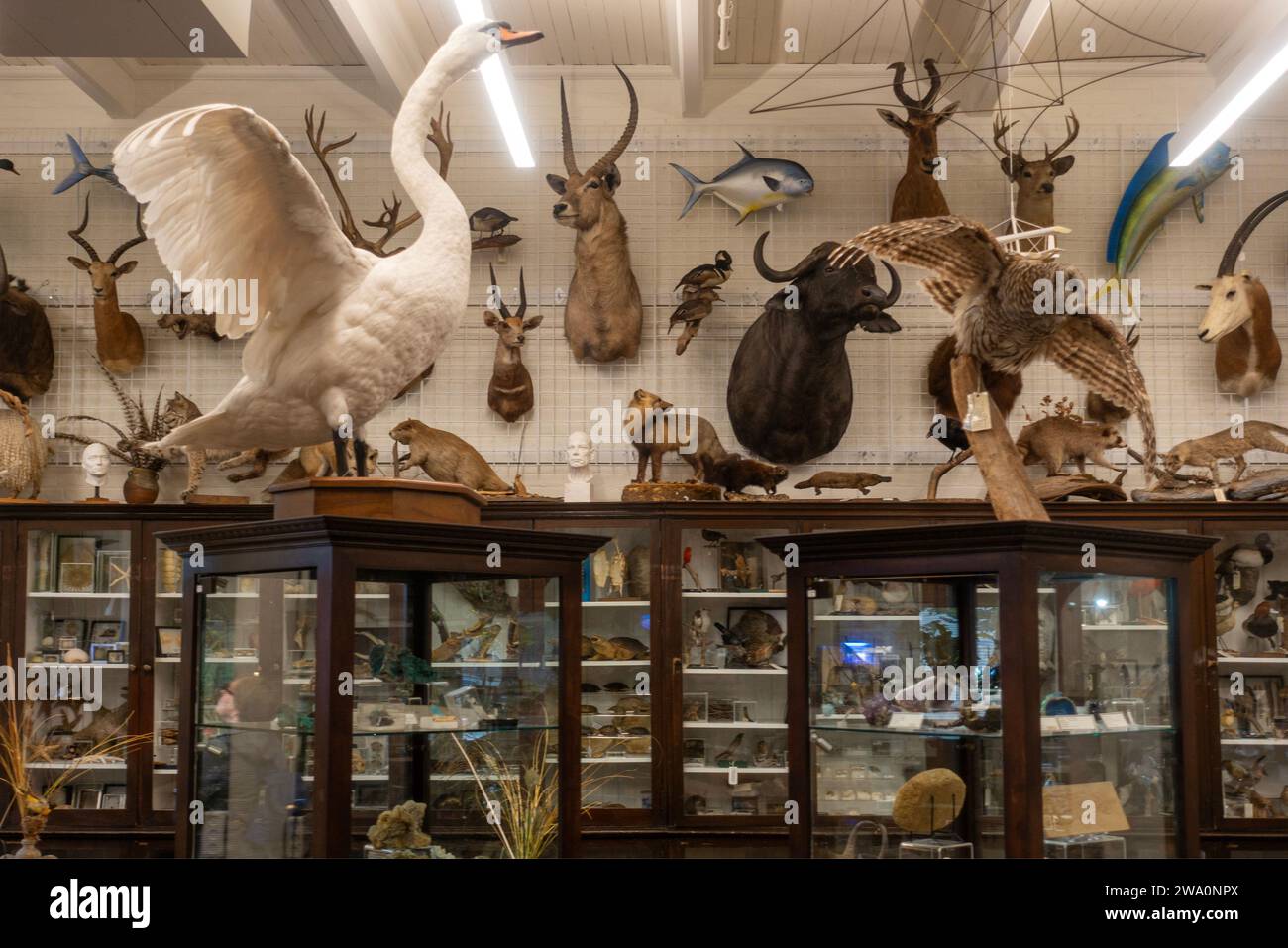 Edna Lawrence Nature lab at the Rhode Island School of Design in ...