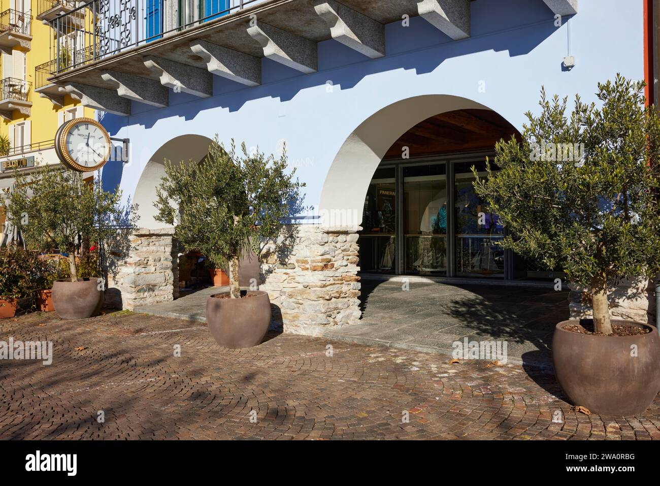 Olive trees (Olea europaea) in earthenware pots at the entrance of a ...