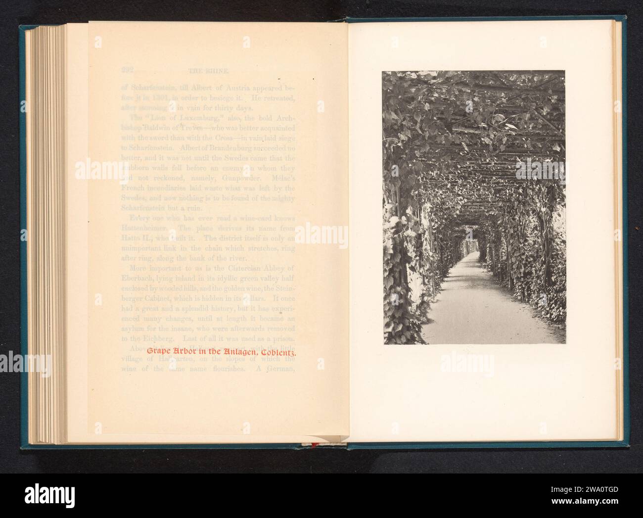 Get rid of grape vines in the Rheinan layers in Koblenz, Anonymous, c ...