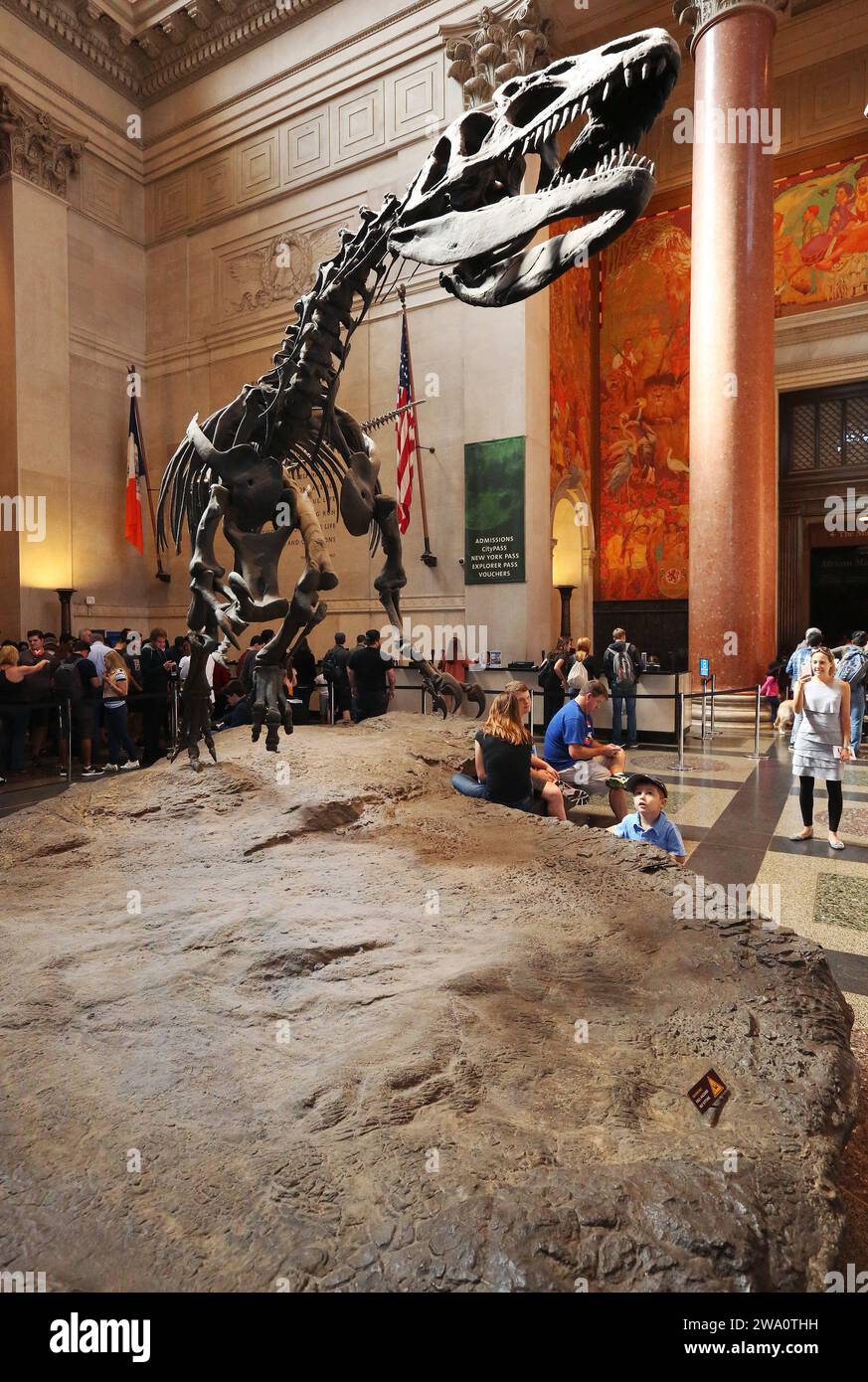 View in the central lobby of the Museum of Natural History in New York ...