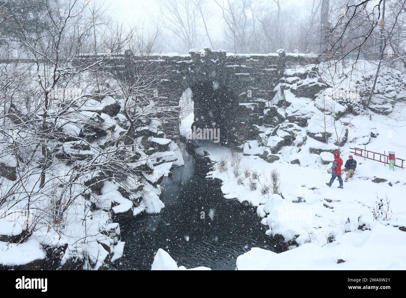 Winter scene picture postcards of Central Park in New York City on a ...