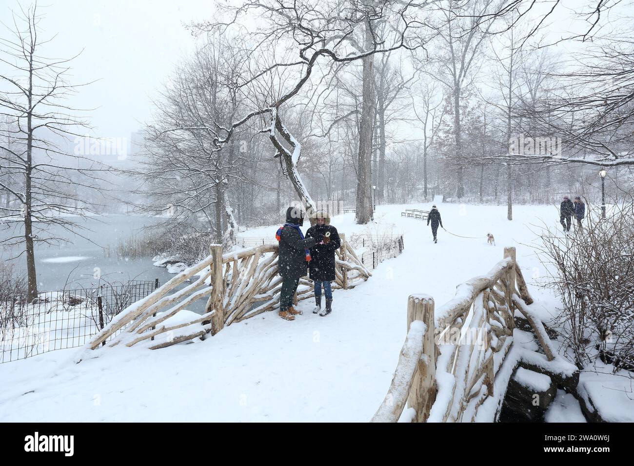 Winter scene picture postcards of Central Park in New York City on a chilly snow day. (Photo ...