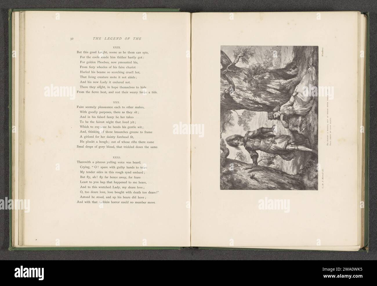 Bleeding a tree hi-res stock photography and images - Alamy