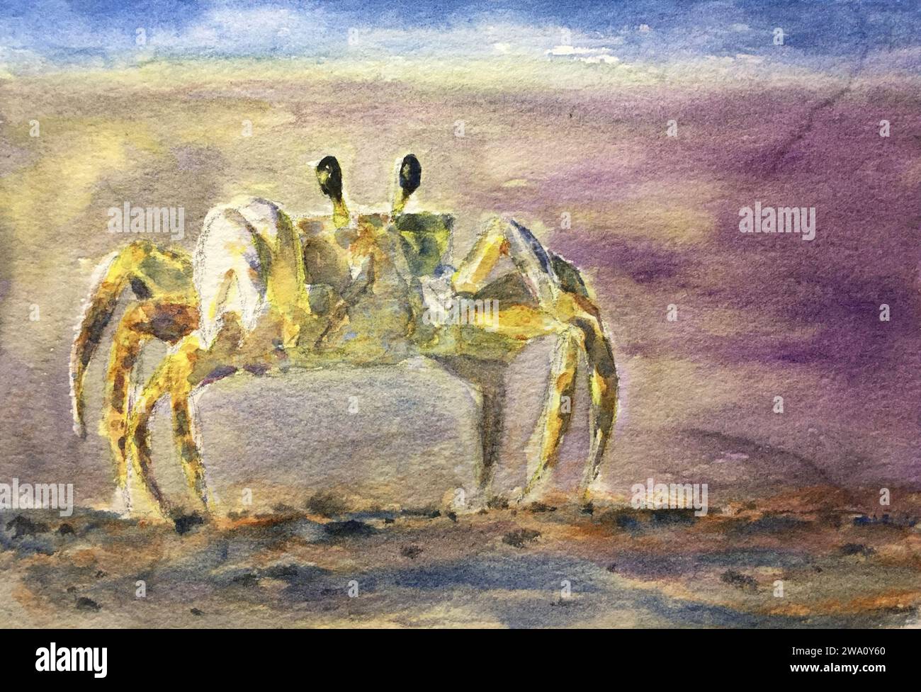 Watercolor painting of crab Stock Photo - Alamy