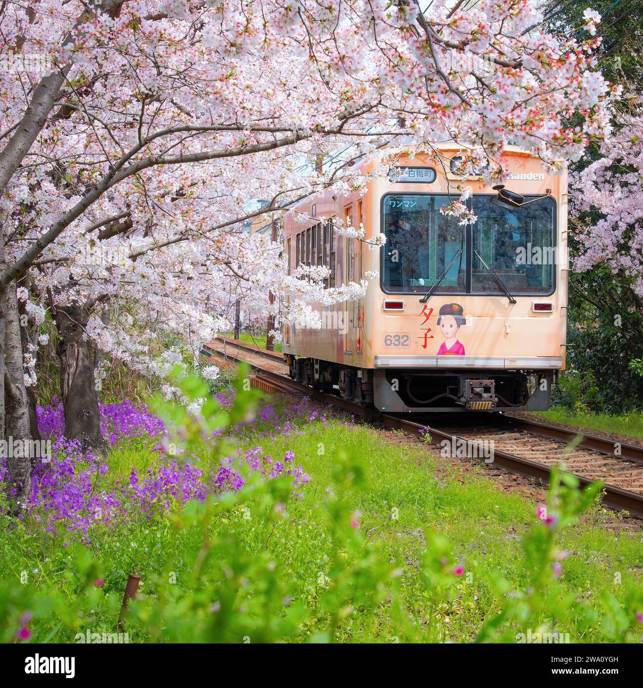 Kyoto, Japan - March 31 2023: Keifuku Tram is operated by Keifuku ...
