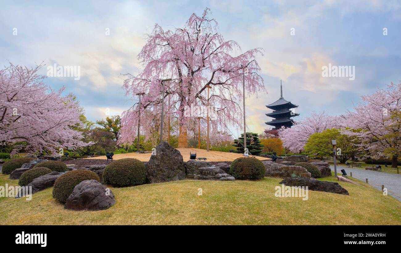 Heian period buddha hi-res stock photography and images - Alamy