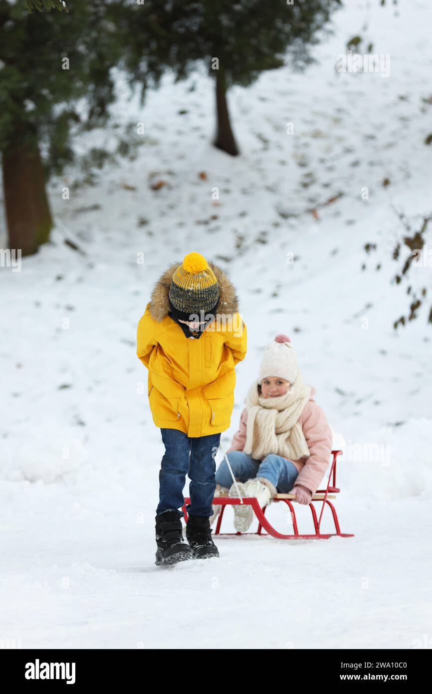 Little boy pulling sledge with his sister through snow in winter park ...