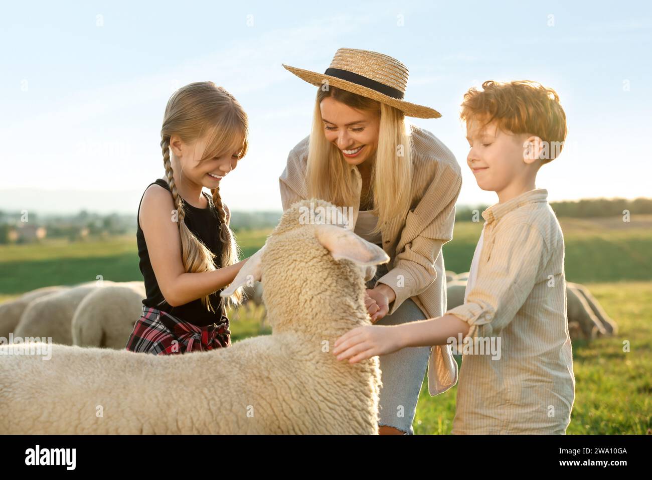 Animals mother children hi-res stock photography and images - Alamy