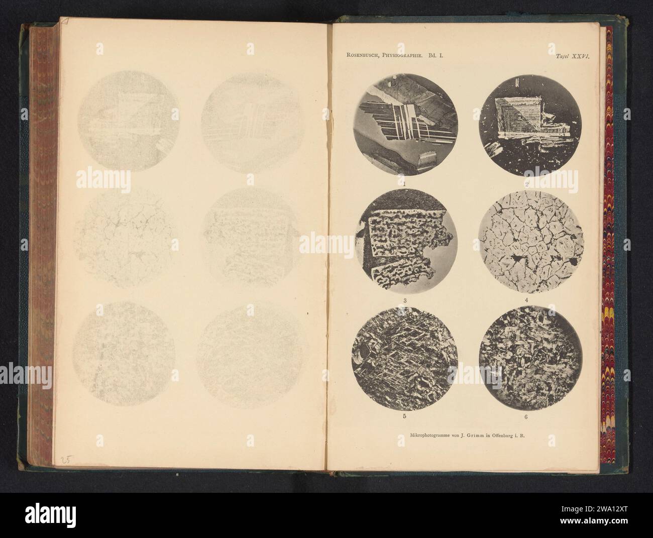 Six microscopic magnifications of minerals, Cohen, c. 1880 - in or ...
