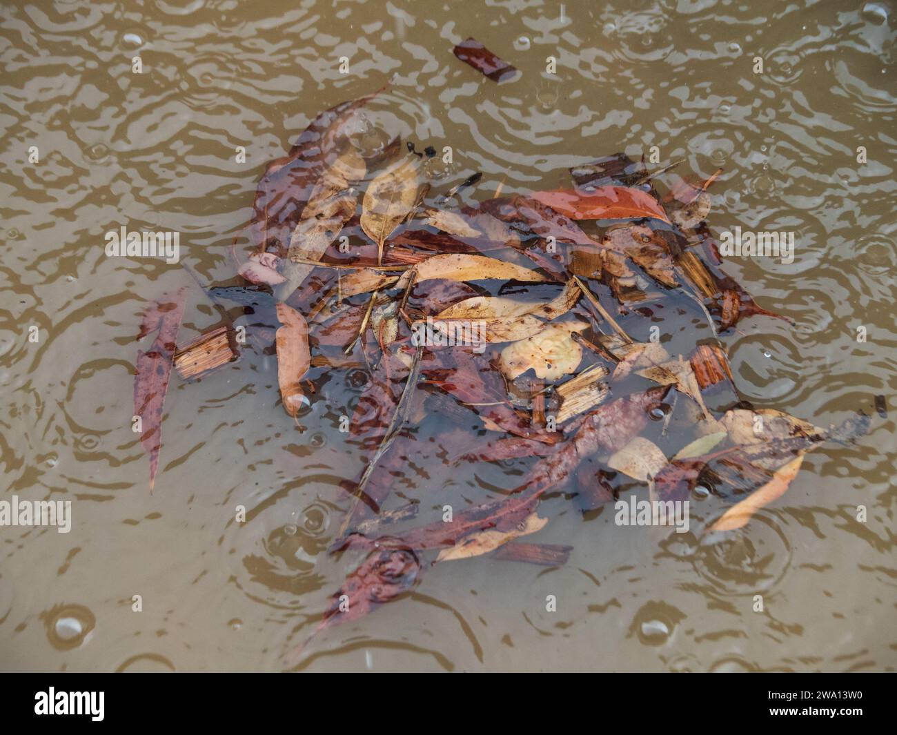 Water ripples rain patterns hi-res stock photography and images - Alamy