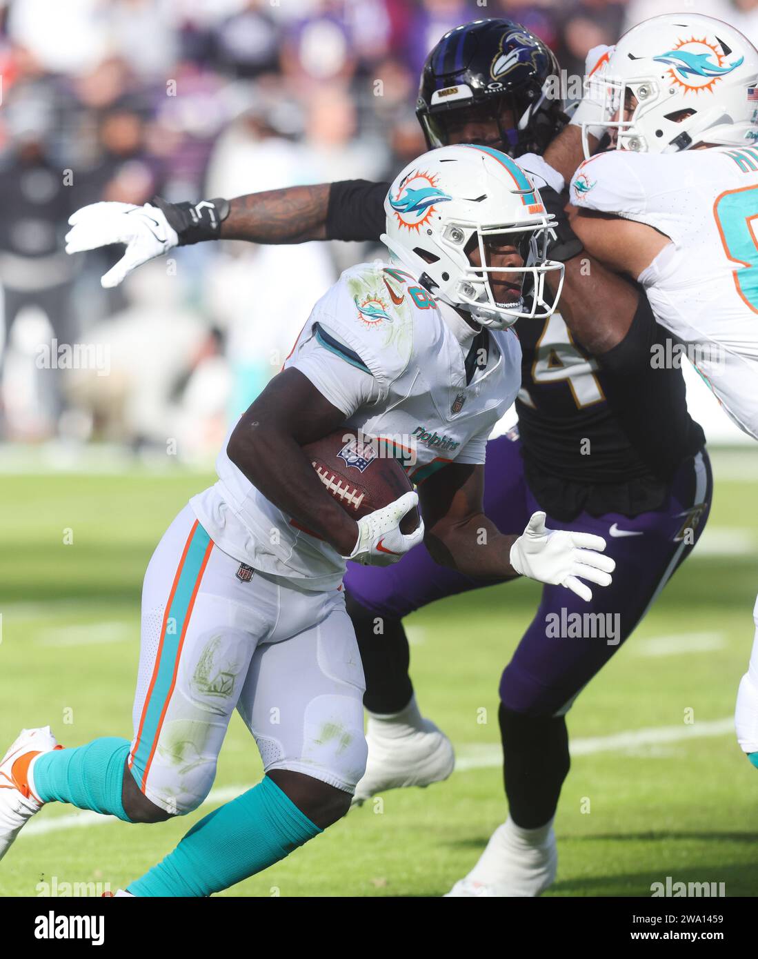 Achane 2023 dolphins hi-res stock photography and images - Alamy