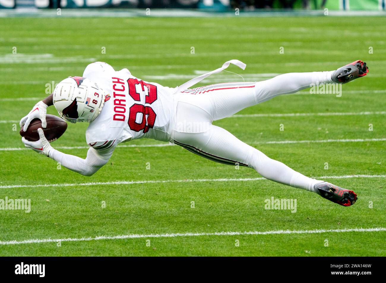 Arizona Cardinals wide receiver Greg Dortch (83) with the catch during ...