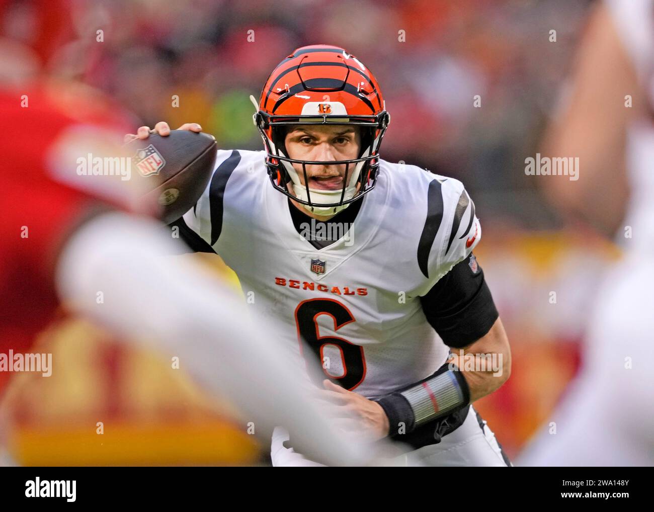 Kansas City, United States. 31st Dec, 2023. Cincinnati Bengals ...