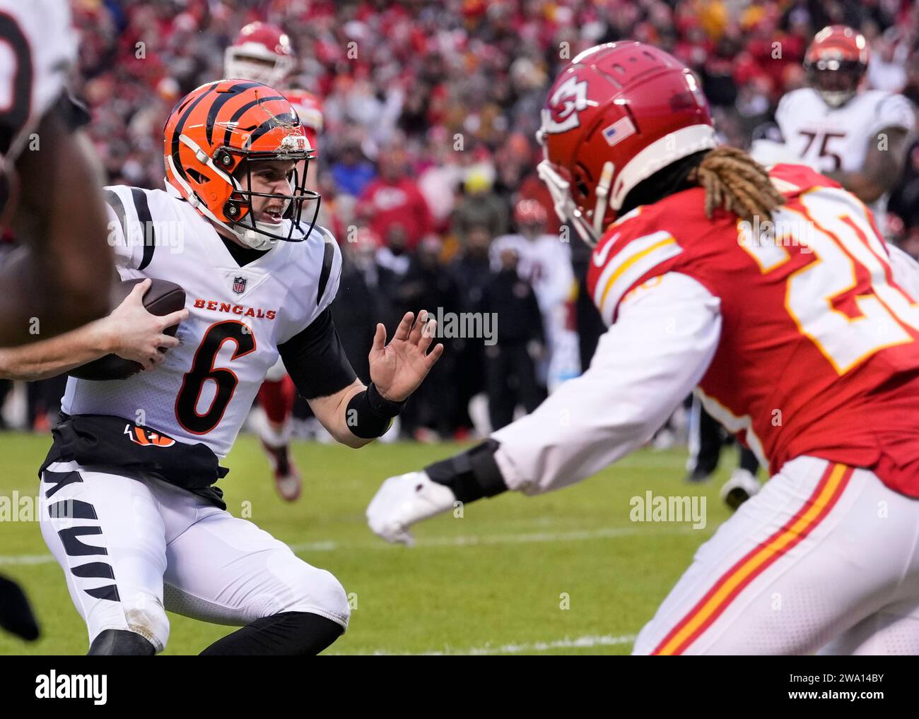 Kansas City, United States. 31st Dec, 2023. Cincinnati Bengals ...