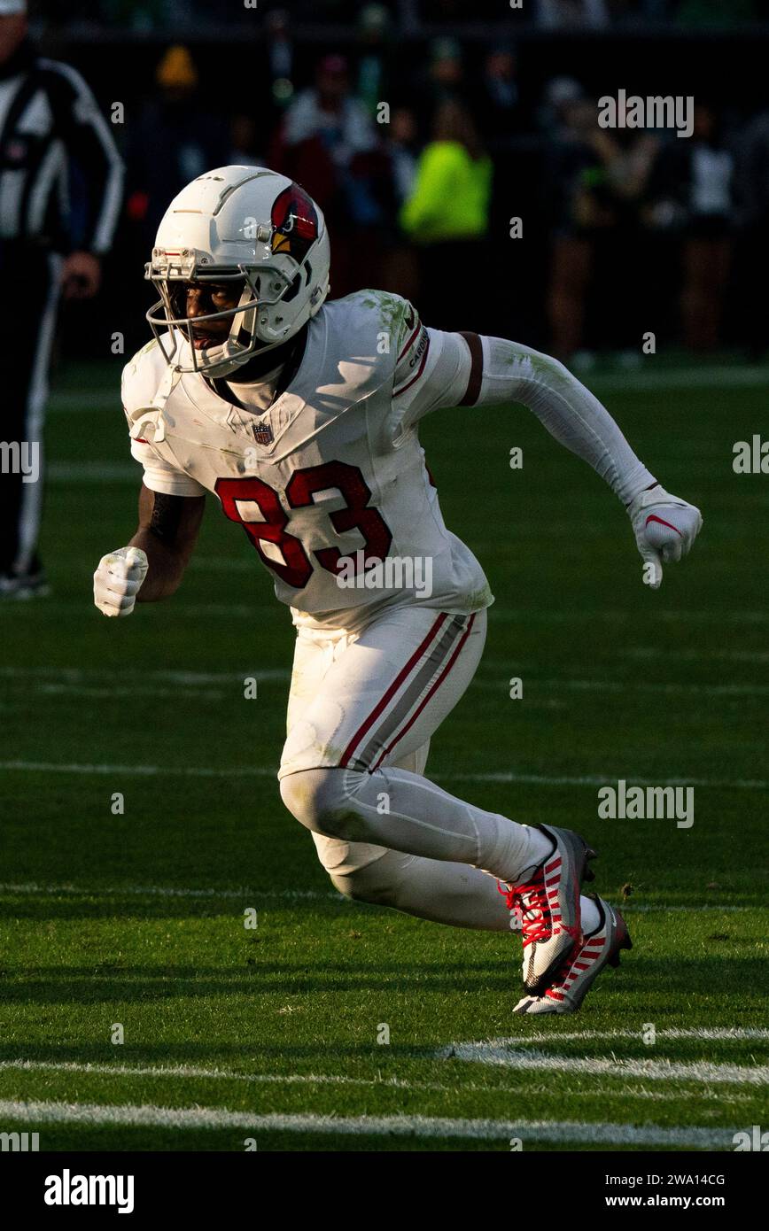 Arizona Cardinals wide receiver Greg Dortch (83) in action during the ...