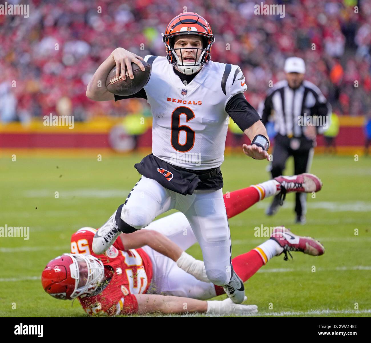 Kansas City, United States. 31st Dec, 2023. Cincinnati Bengals ...