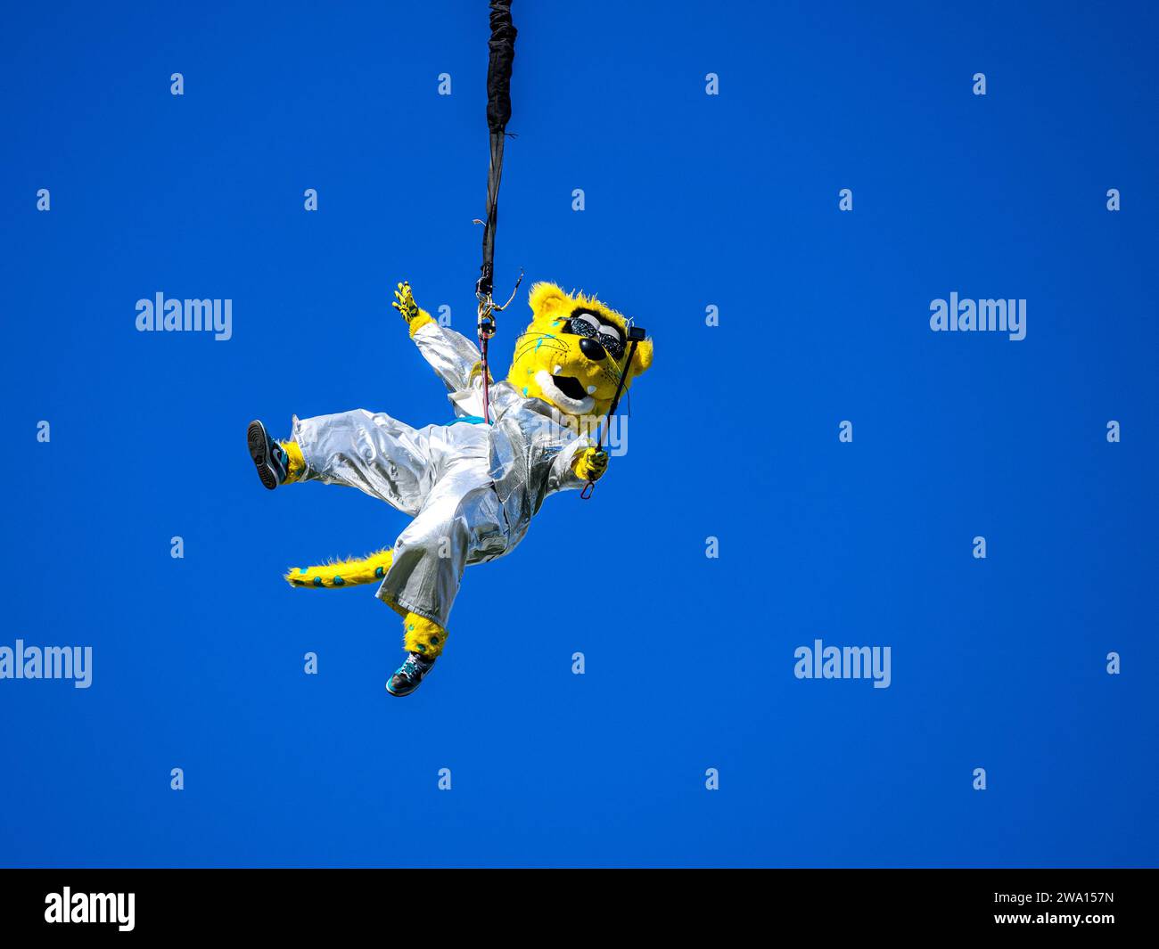 Jaxson de ville hi-res stock photography and images - Alamy