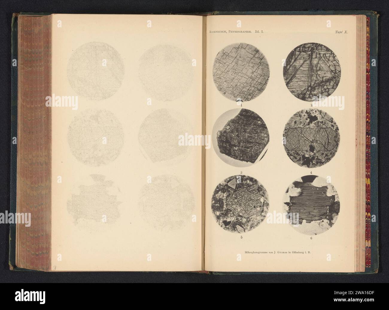 Six microscopic magnifications of minerals, Cohen, c. 1880 - in or ...