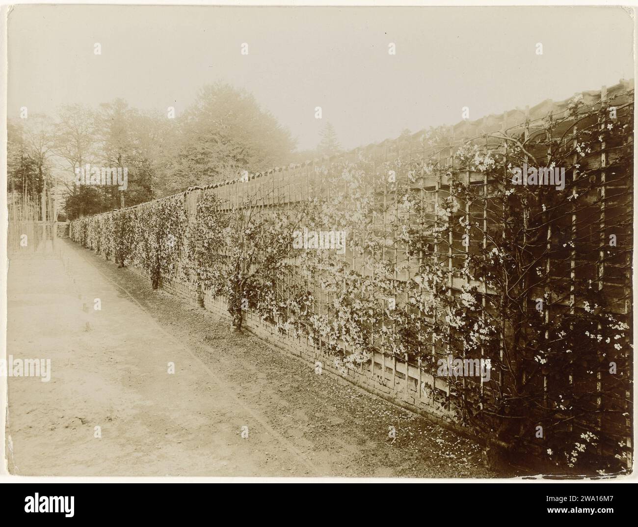 Richard cherry hi-res stock photography and images - Alamy