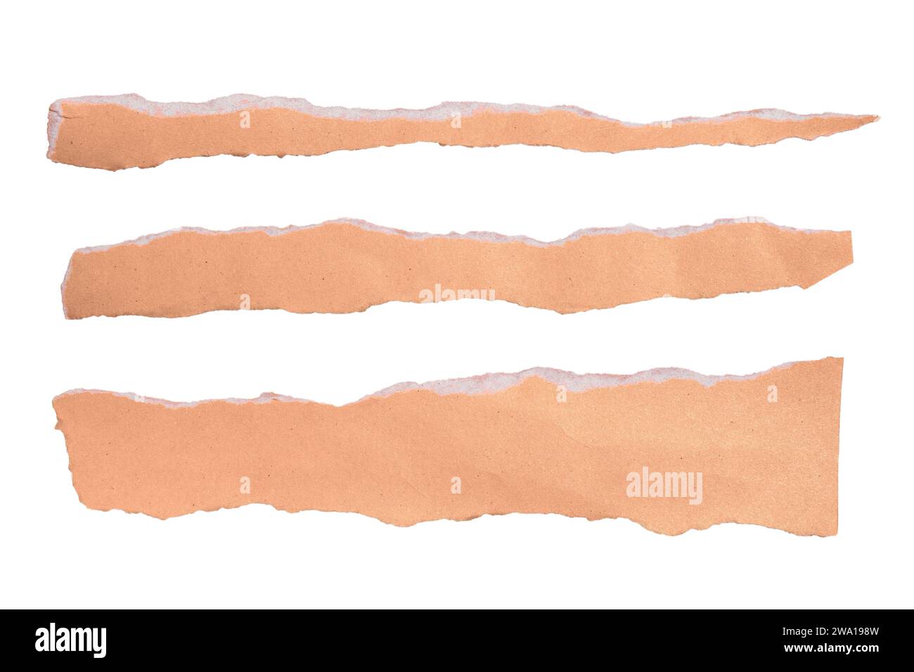 three pieces of torn long peach colored paper on white background with ...