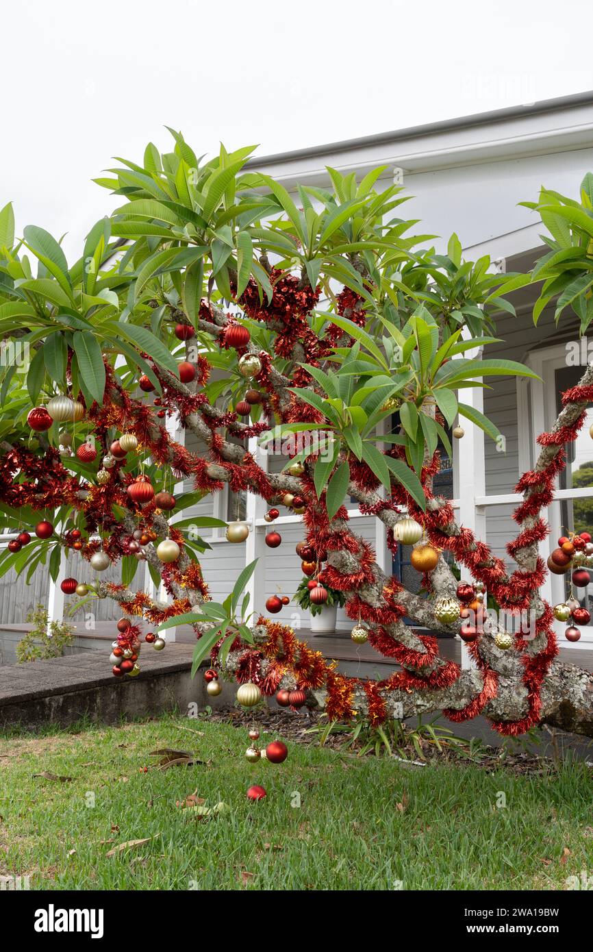 Copper, bronze and gold decorations hanging on a Frangipani tree during ...