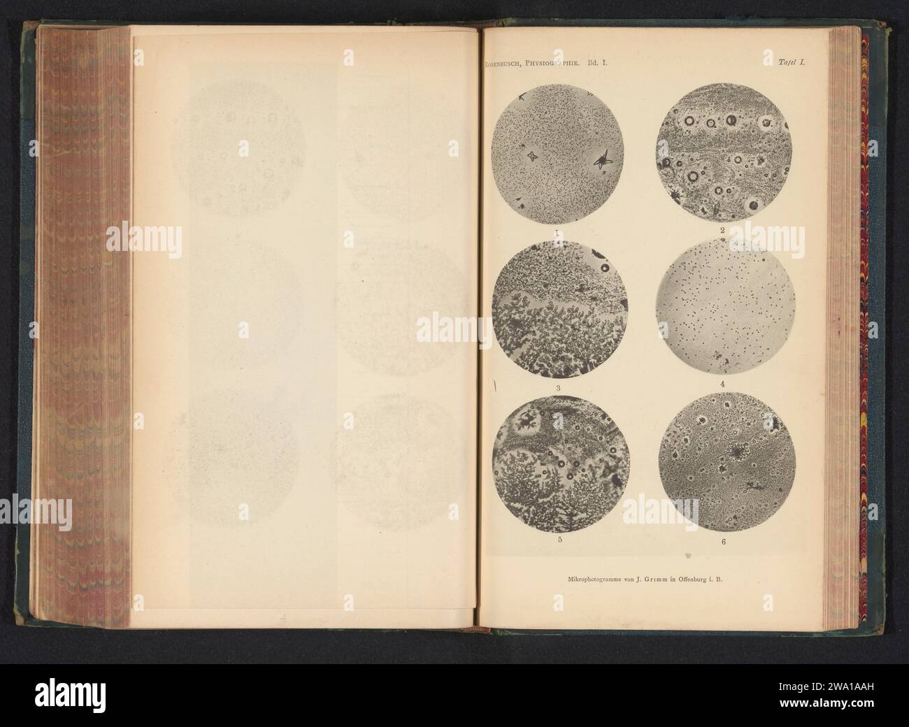Six microscopic magnifications of minerals, Cohen, c. 1880 - in or ...