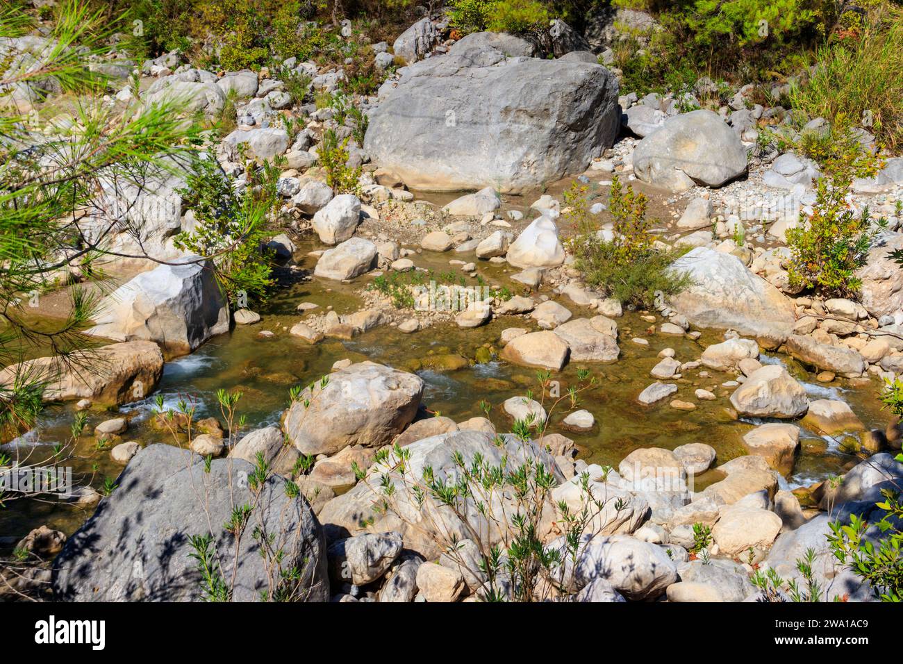 Scenic landscape with beautiful mountain brook. Idyllic scenery with ...