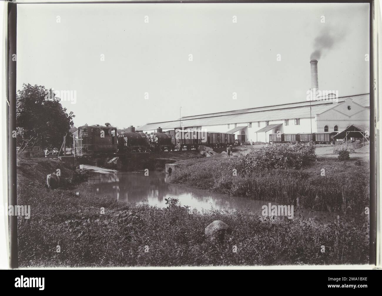 Train wagons at the sugar factory of the Sugar company Nieuw Tersana ...